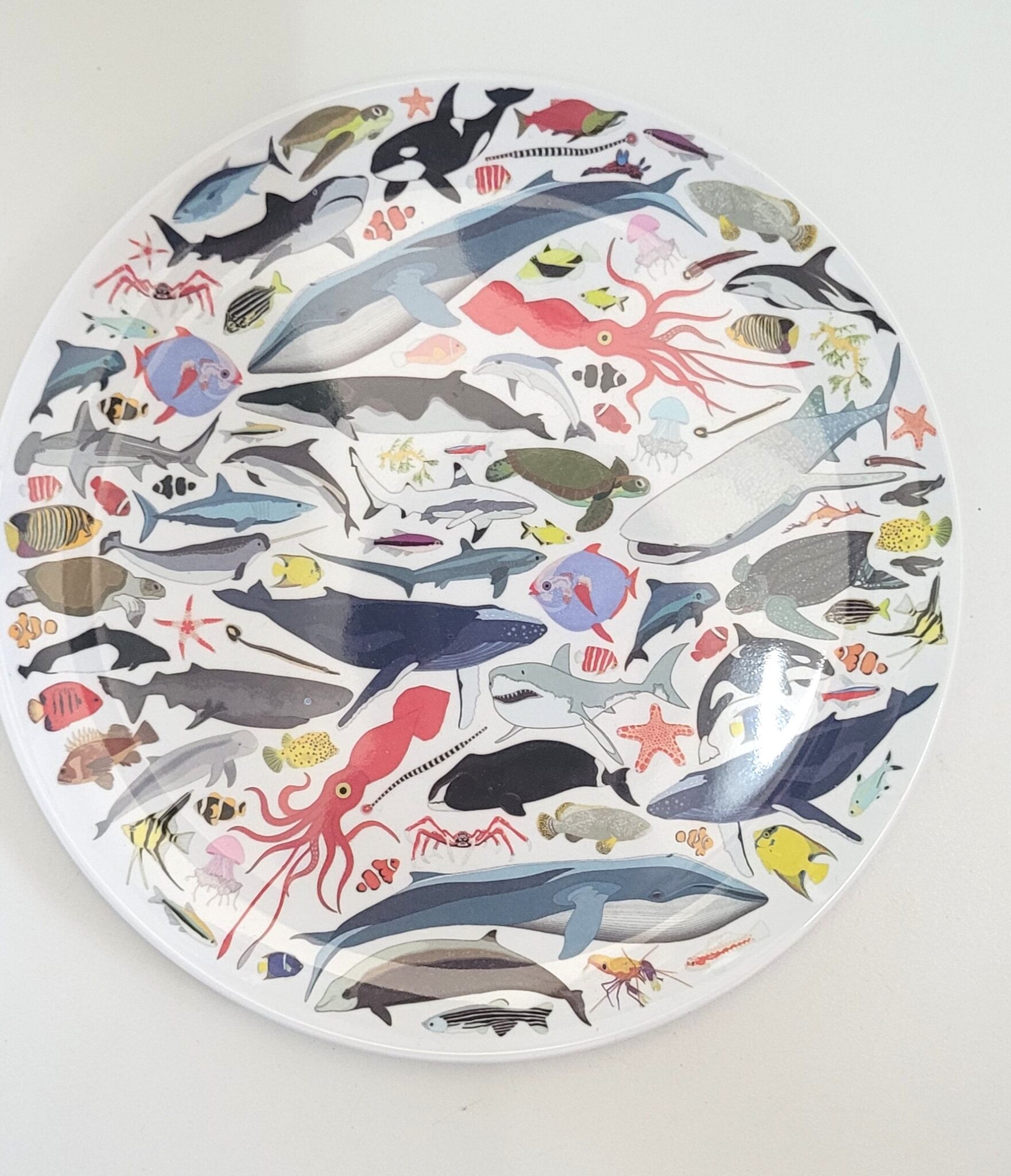 Ocean animals plate – Baka Books Fiji